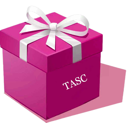 FSA 4 Math Comprehensive Exercise Book: Abundant Math Skill Building ...